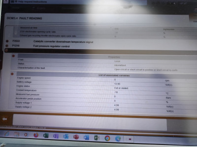 P1210 fuel pressure regulator fault - Page 3 - French Car Forum